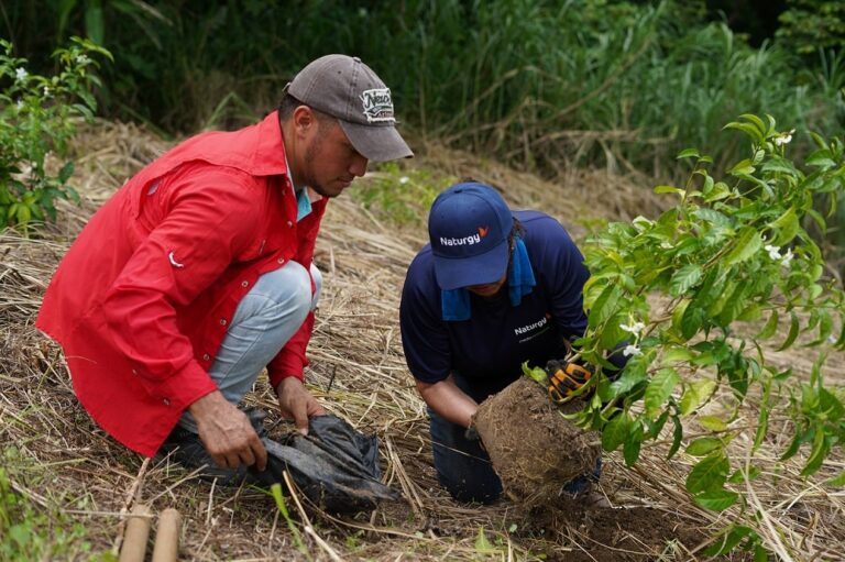 Naturgy Panamá Celebra el Día Mundial del Medio Ambiente con una ...